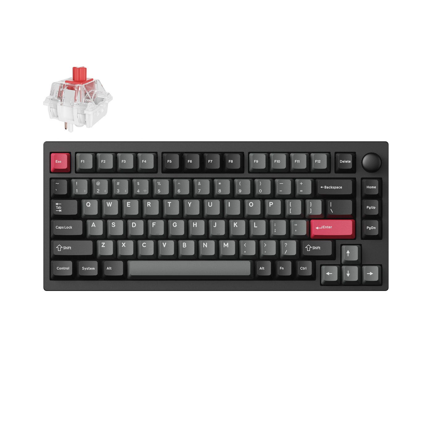 Cherry Profile Dye-Sub PBT Full Set Keycap Set - Cyber Developer – Lemokey